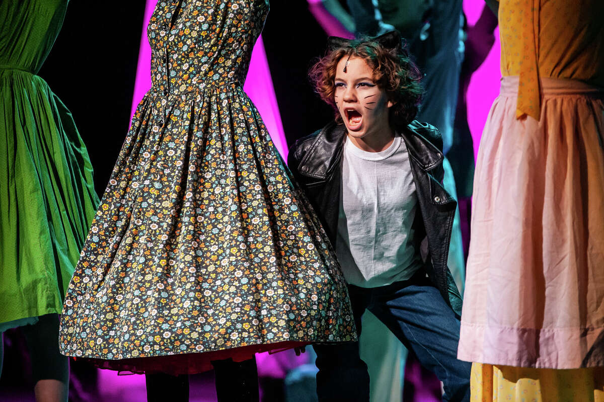 Midland students to put on HONK! at Midland Center for the Arts