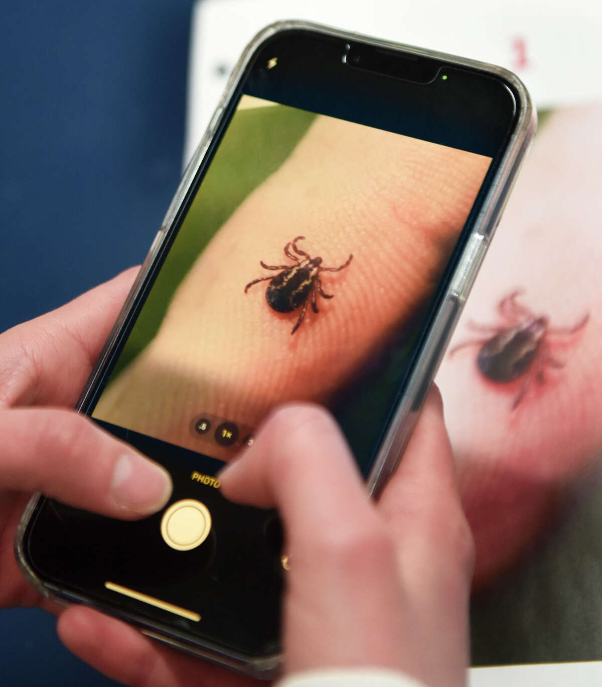 New Canaan teen invents app to identify ticks