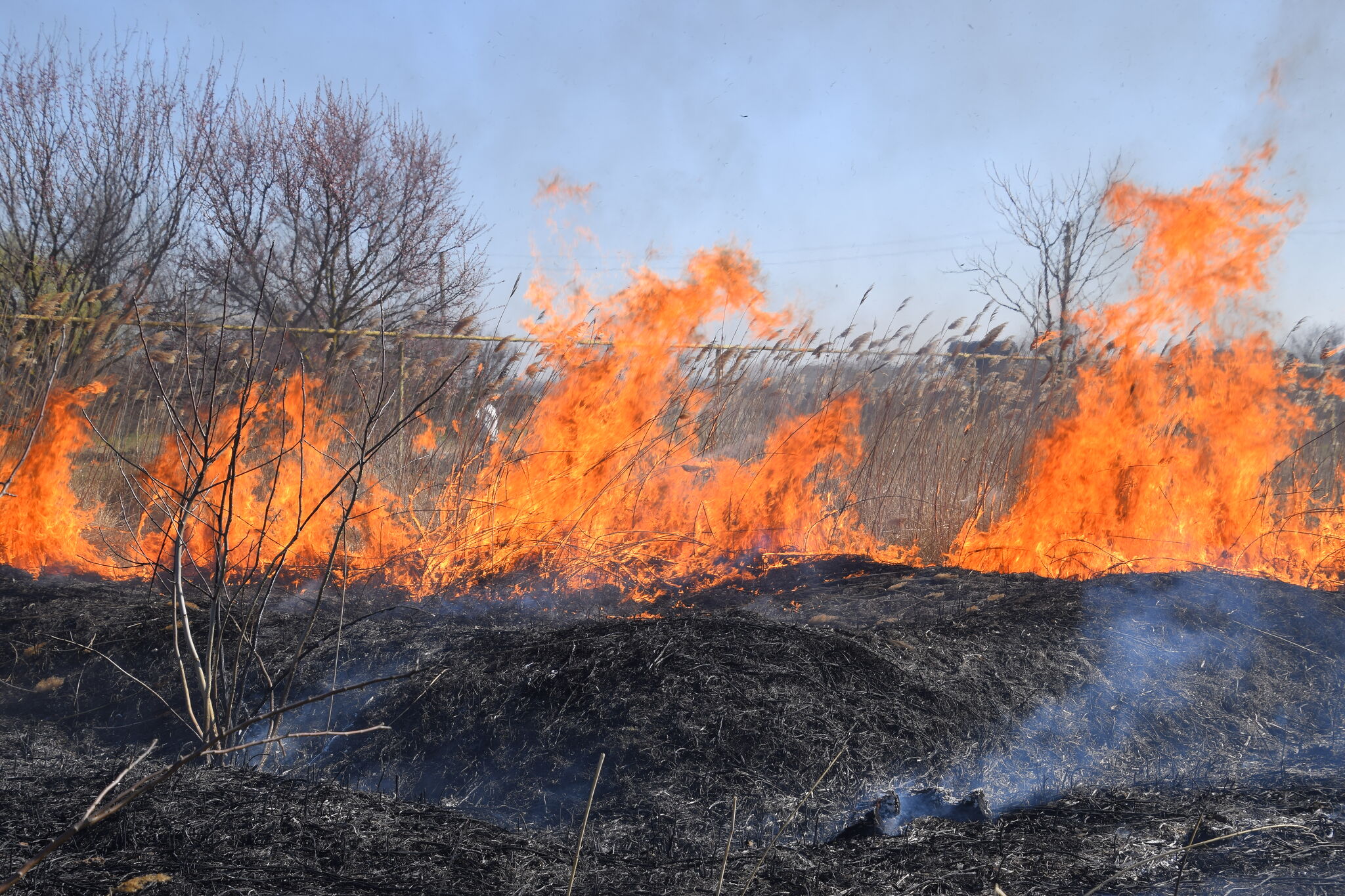 Drought map: Potential wildfire conditions in Texas