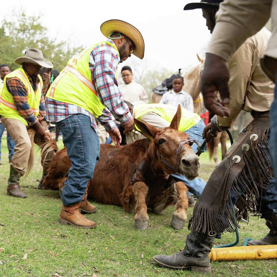At Triangle 7 rodeo arena, Houston's cowboying legacy lives. (Essay)