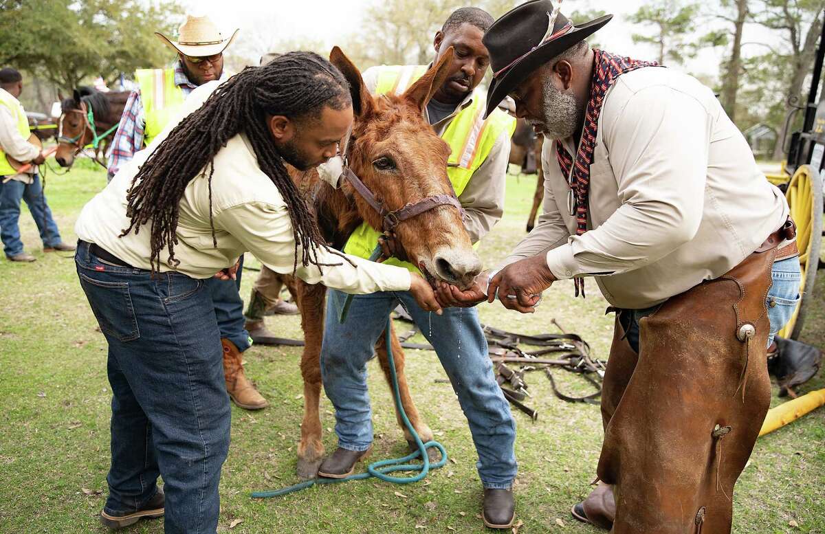 Houston rodeo trail ride: Riders reach downtown Houston rodeo parade
