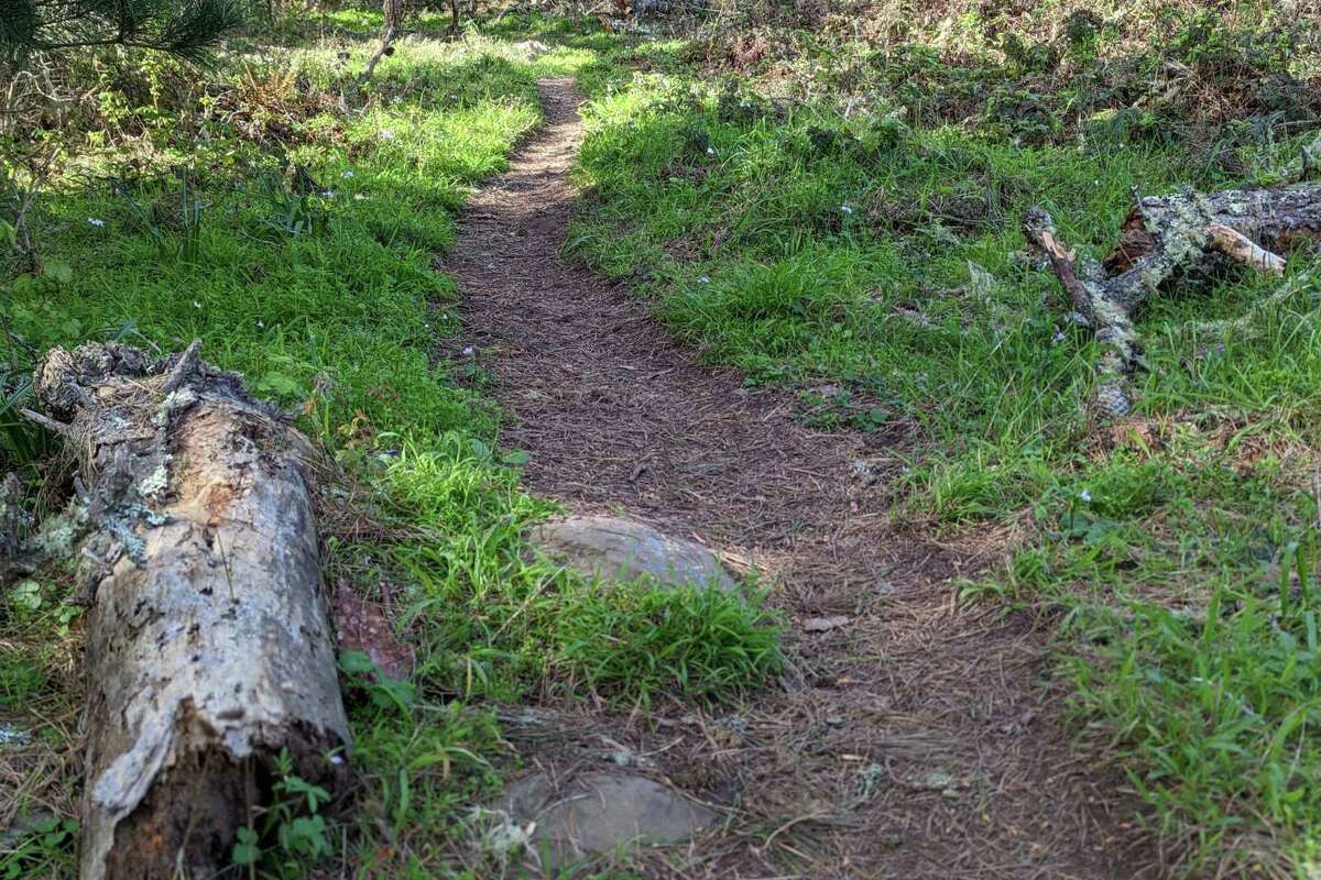 This rewarding Bay Area trail starts behind a hardware store