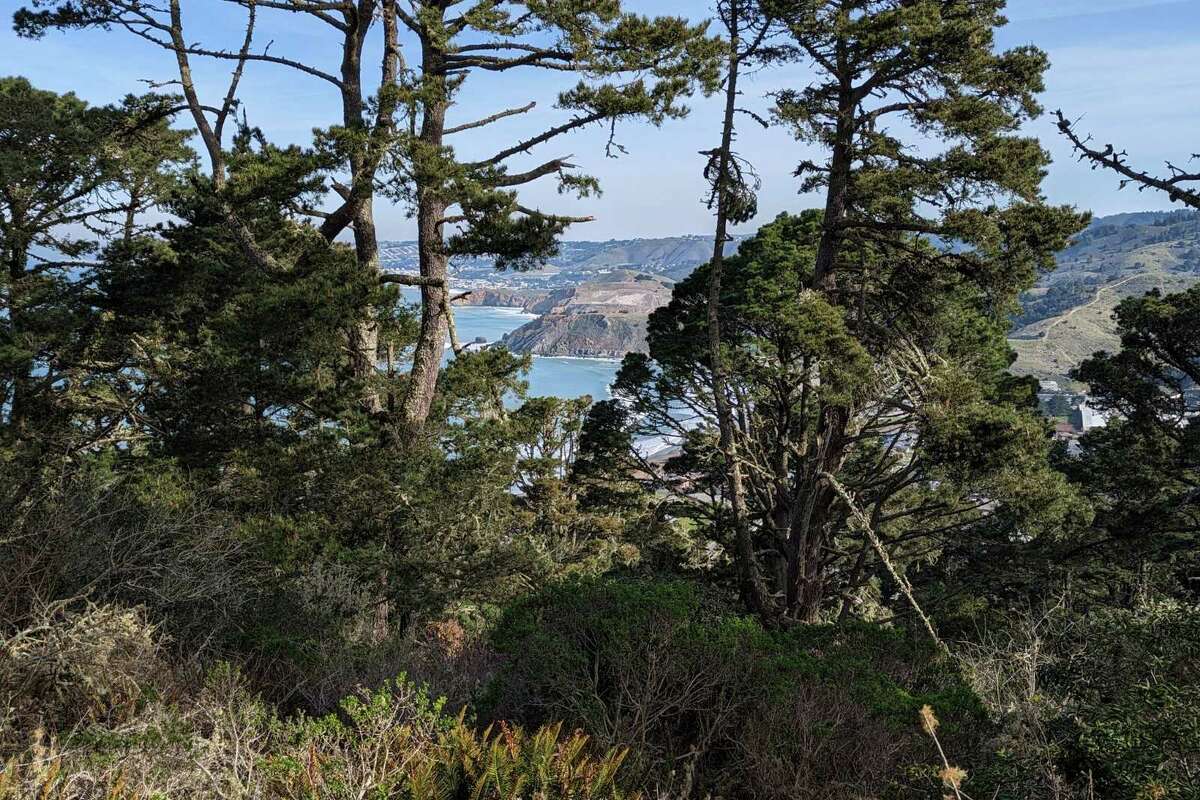 This rewarding Bay Area trail starts behind a hardware store