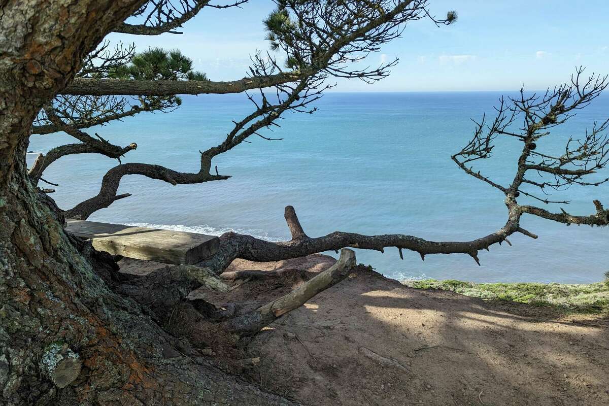 This rewarding Bay Area trail starts behind a hardware store