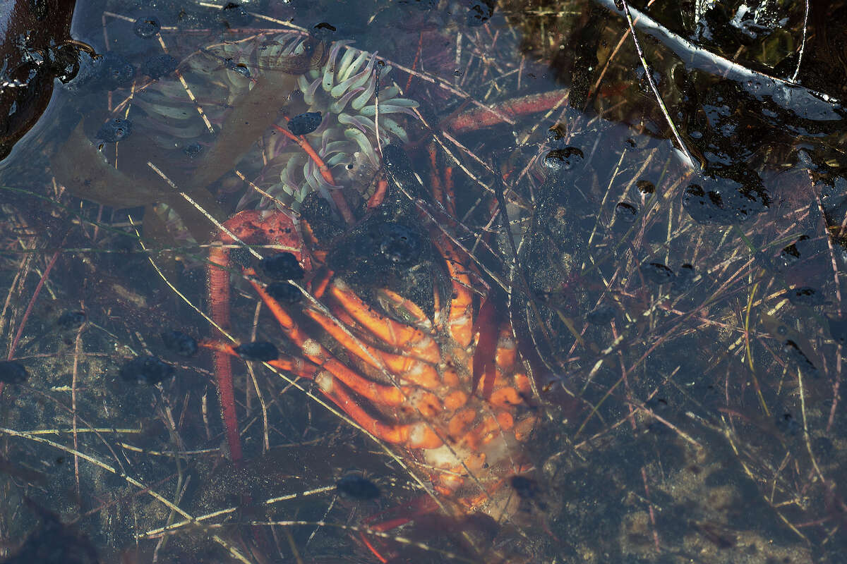 ExxonMobil seeks improvements to pipeline that caused 2015 oil spill