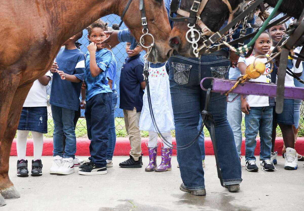 Houston rodeo trail ride: Riders reach downtown Houston rodeo parade