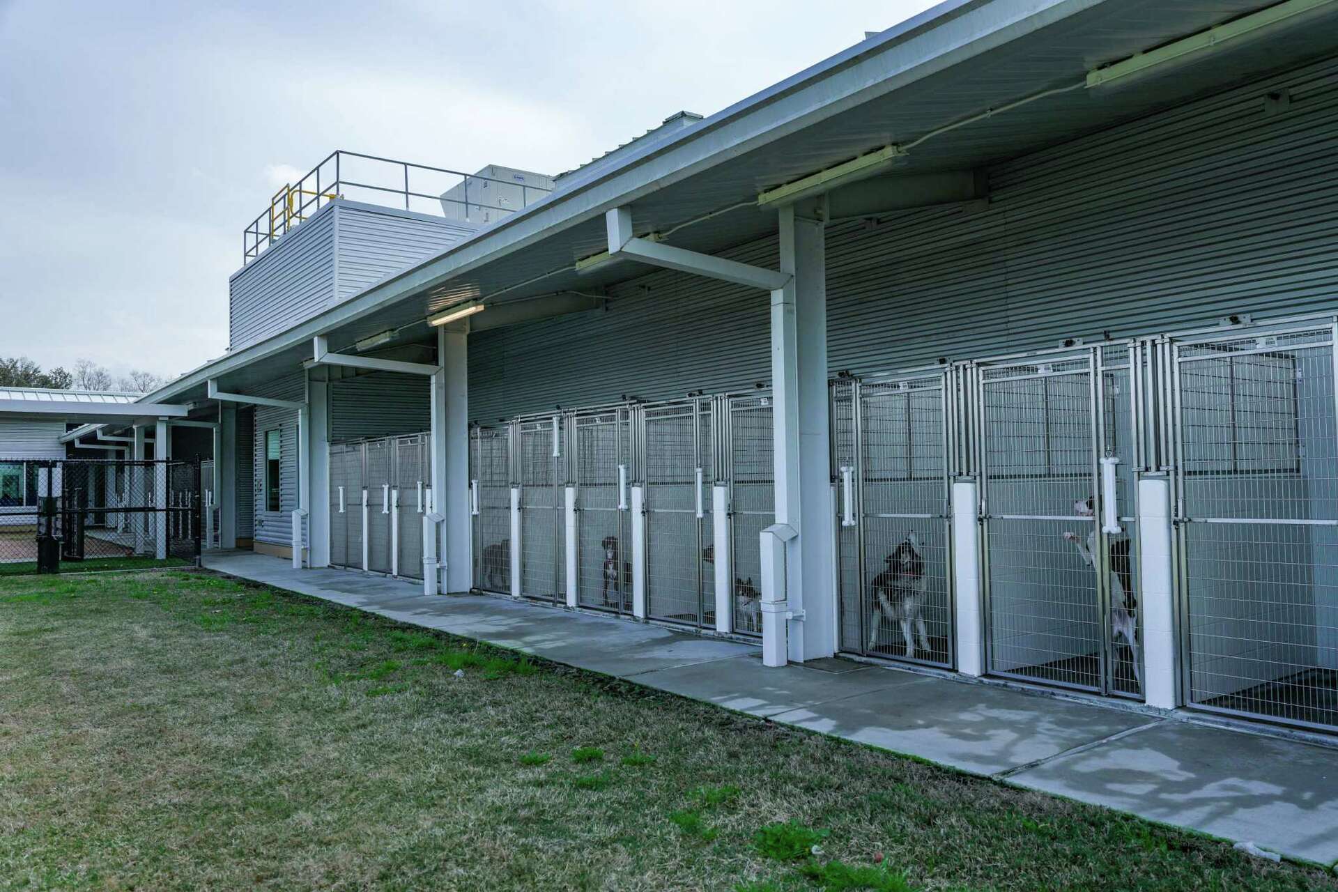 Harris County shelter calls on community to help house animals