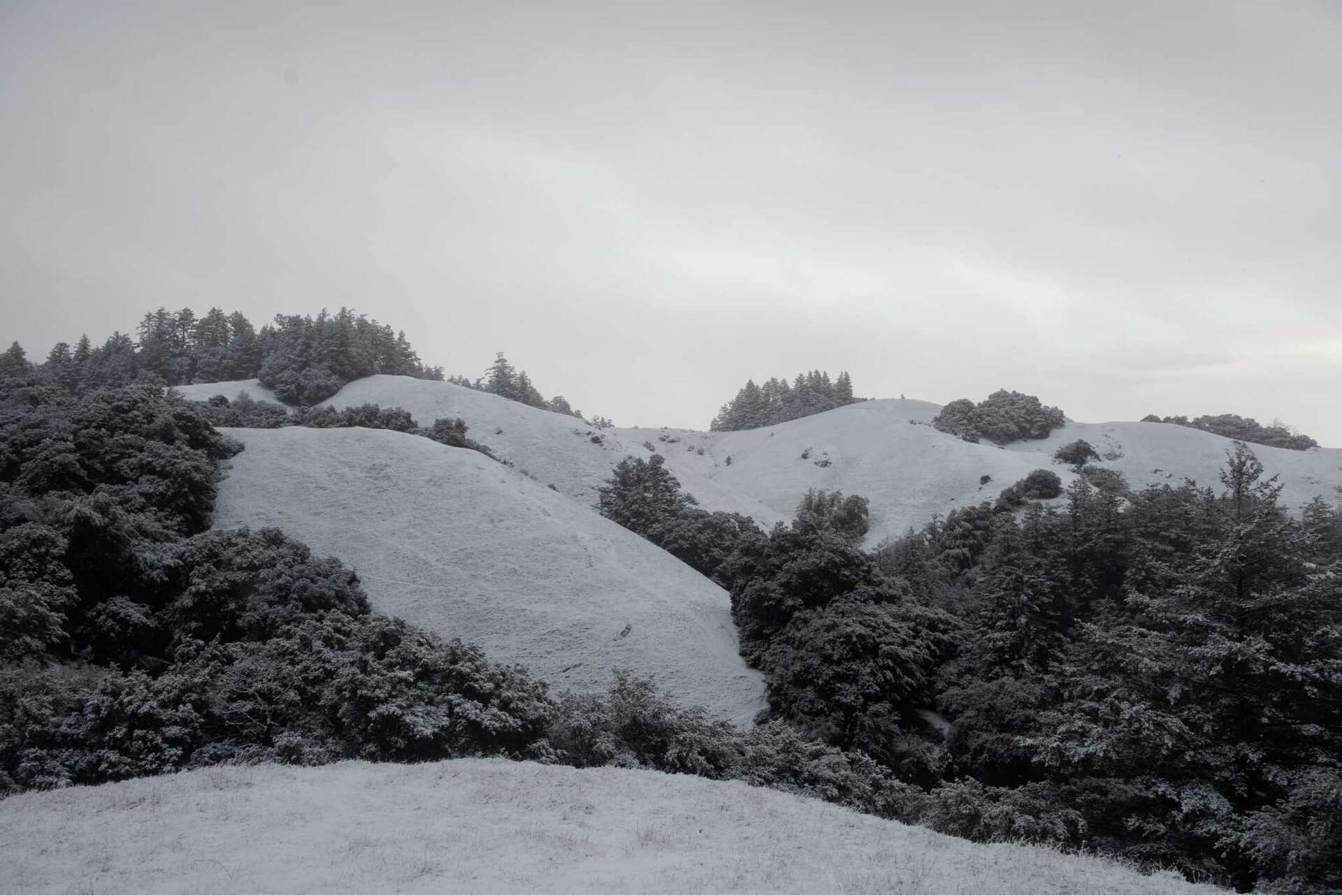 Historic snowfall lands in SF Bay Area during California winter storm