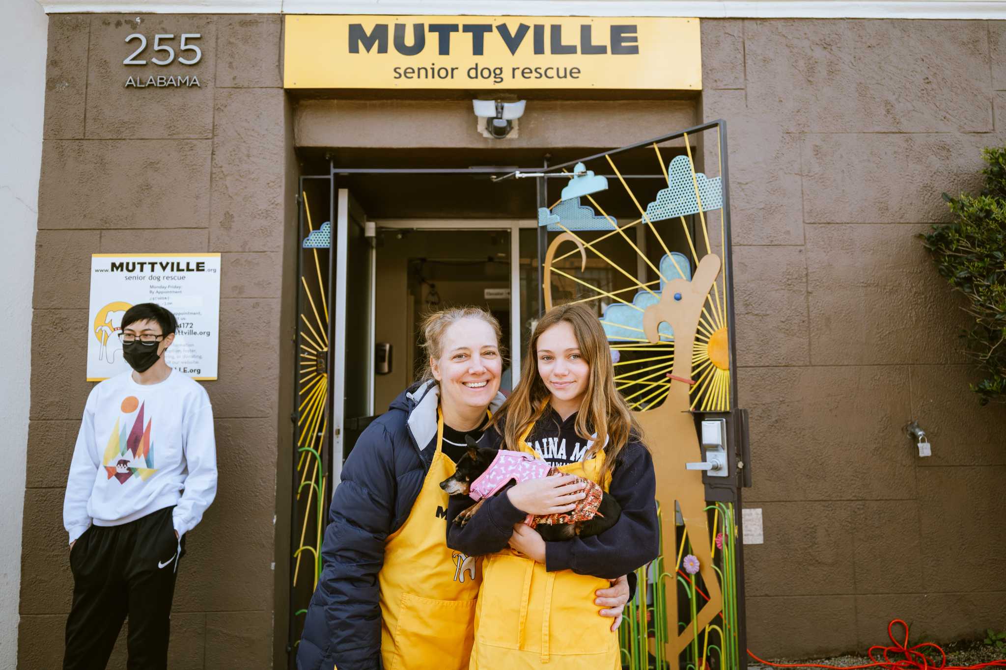 Older adoptable dogs await homes during special S.F. event this weekend ...