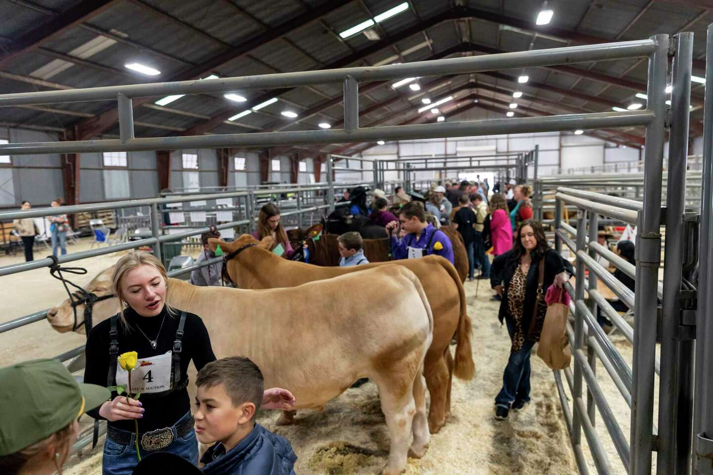 S.A. Stock Show & Rodeo grand champion steer sets auction record