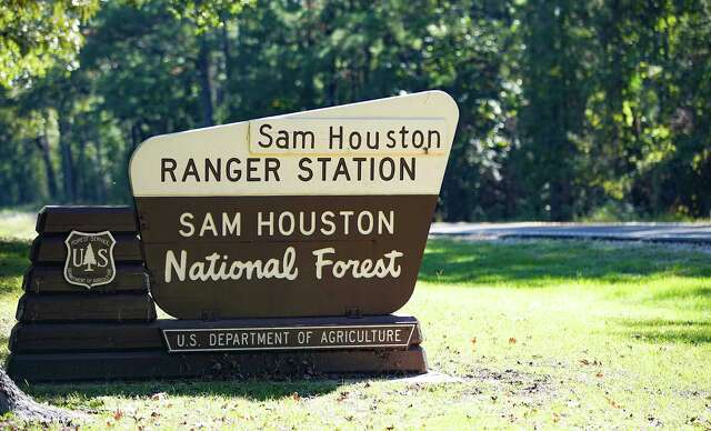 What to know about Sam Houston National Forest in Texas