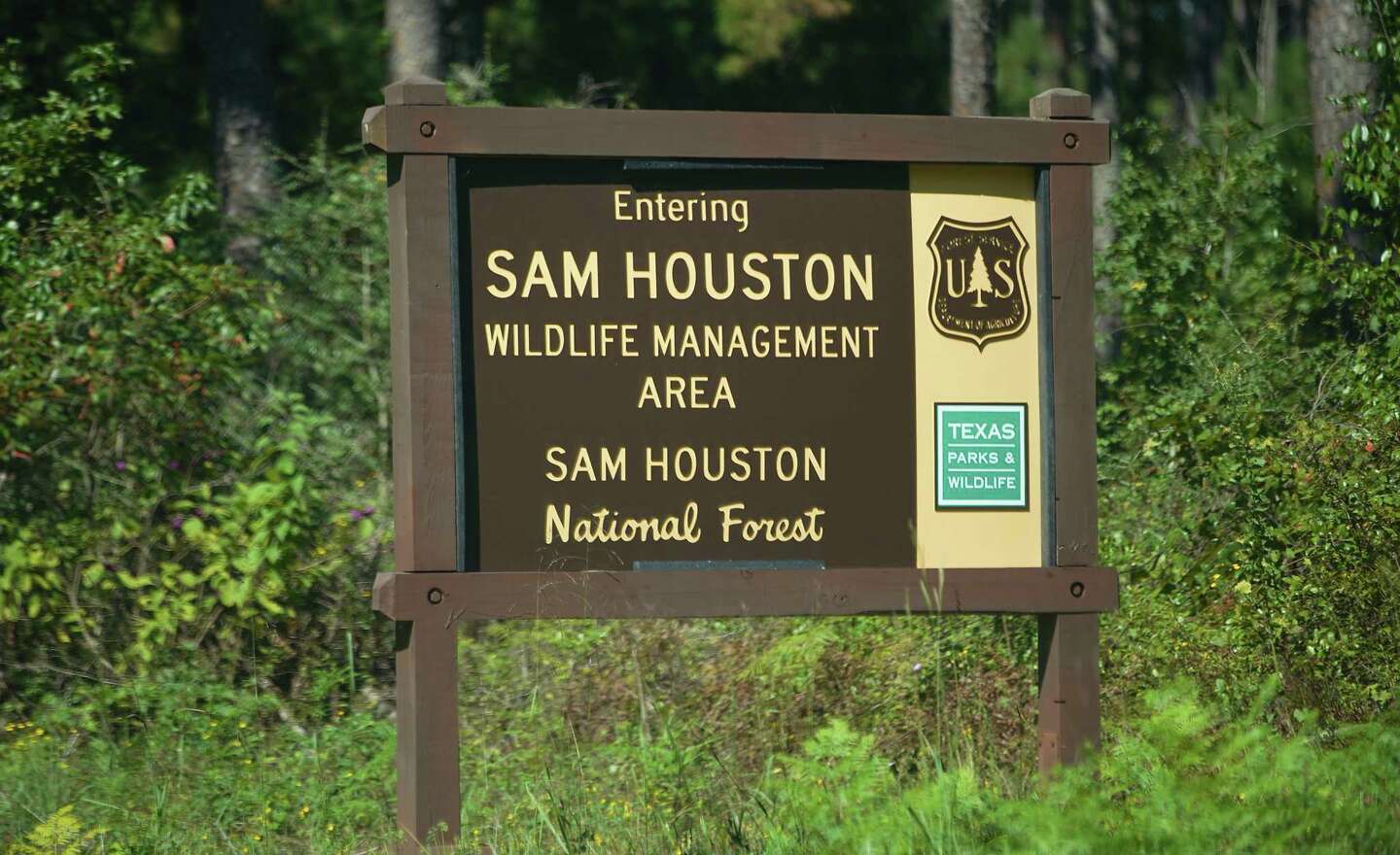 What to know about Sam Houston National Forest in Texas