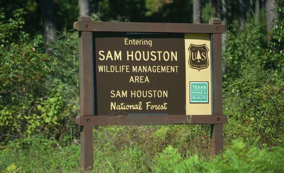 What to know about Sam Houston National Forest in Texas