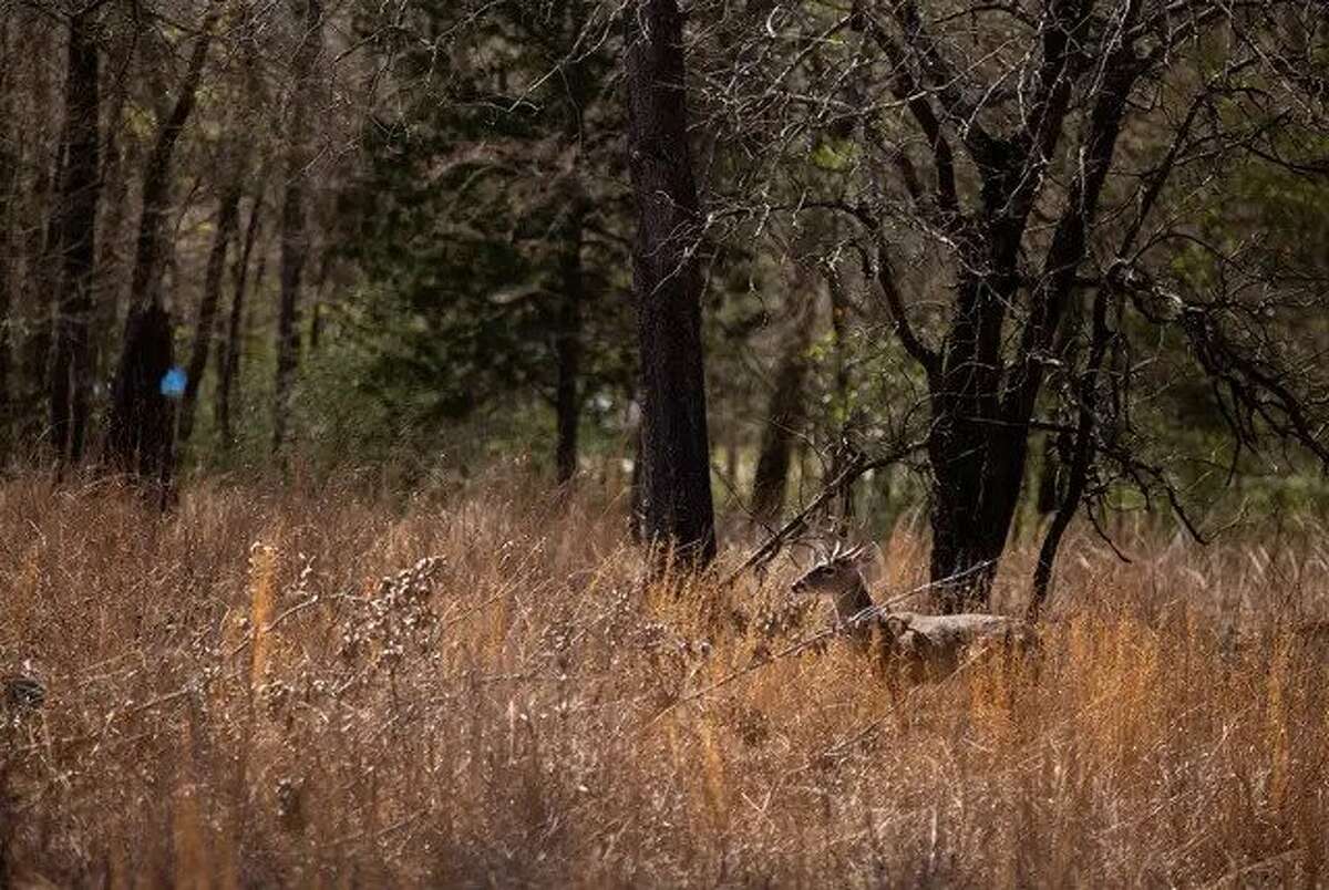 Visitors flock to Fairfield Lake State Park on its last day