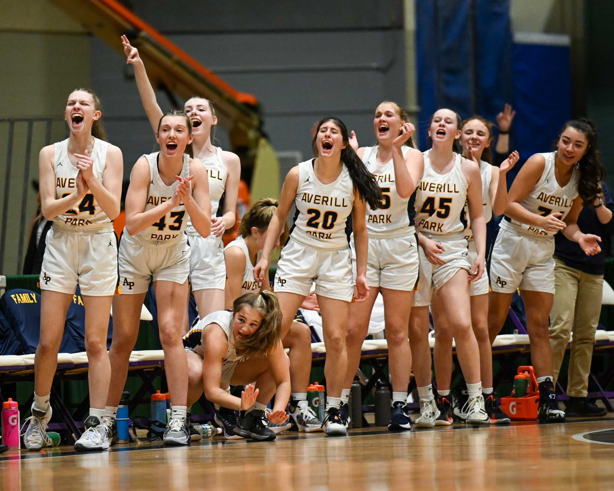 Averill Park beats Columbia in Section II Class A girls' semifinal