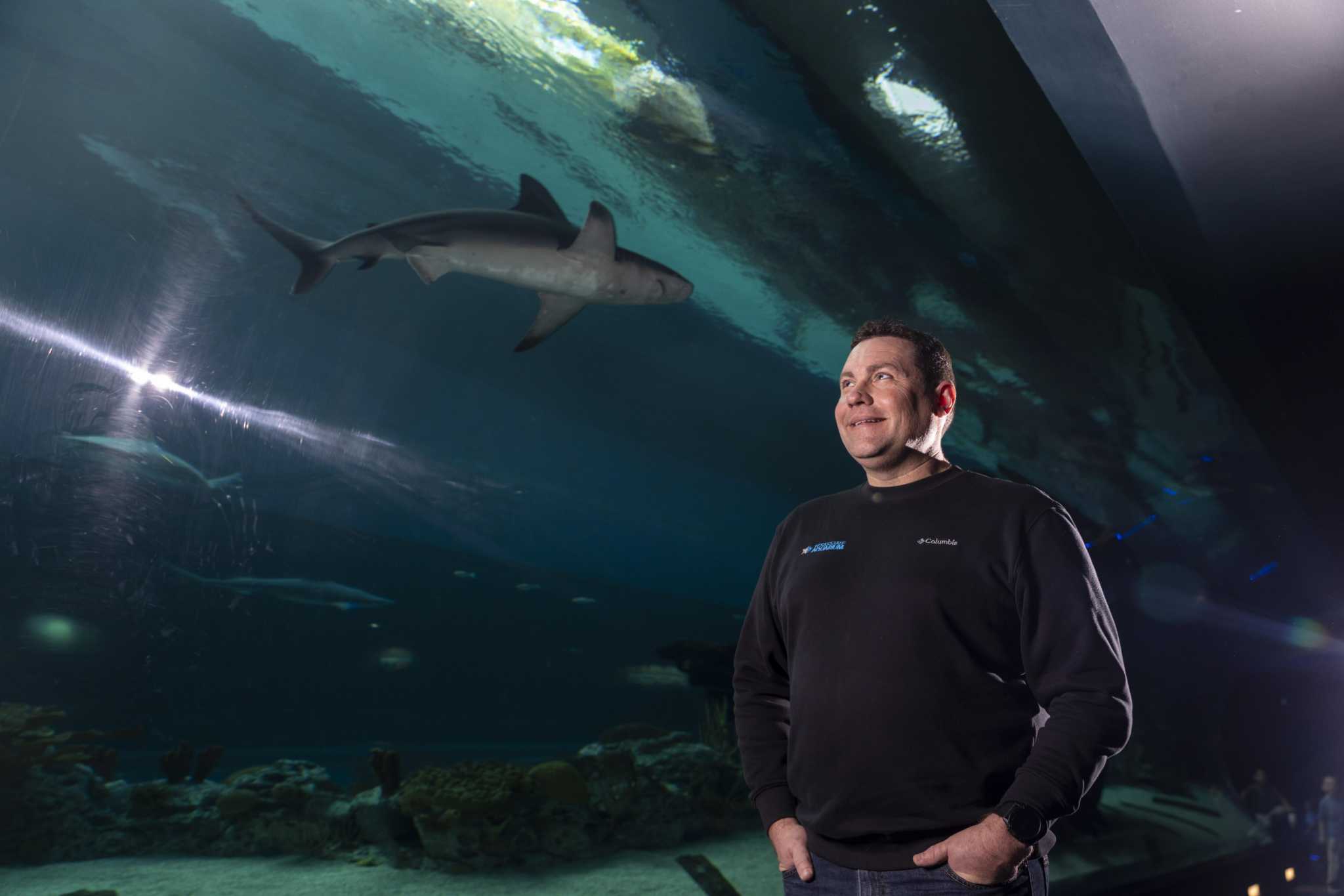Aquarium’s rescue center lets public watch wildlife being saved