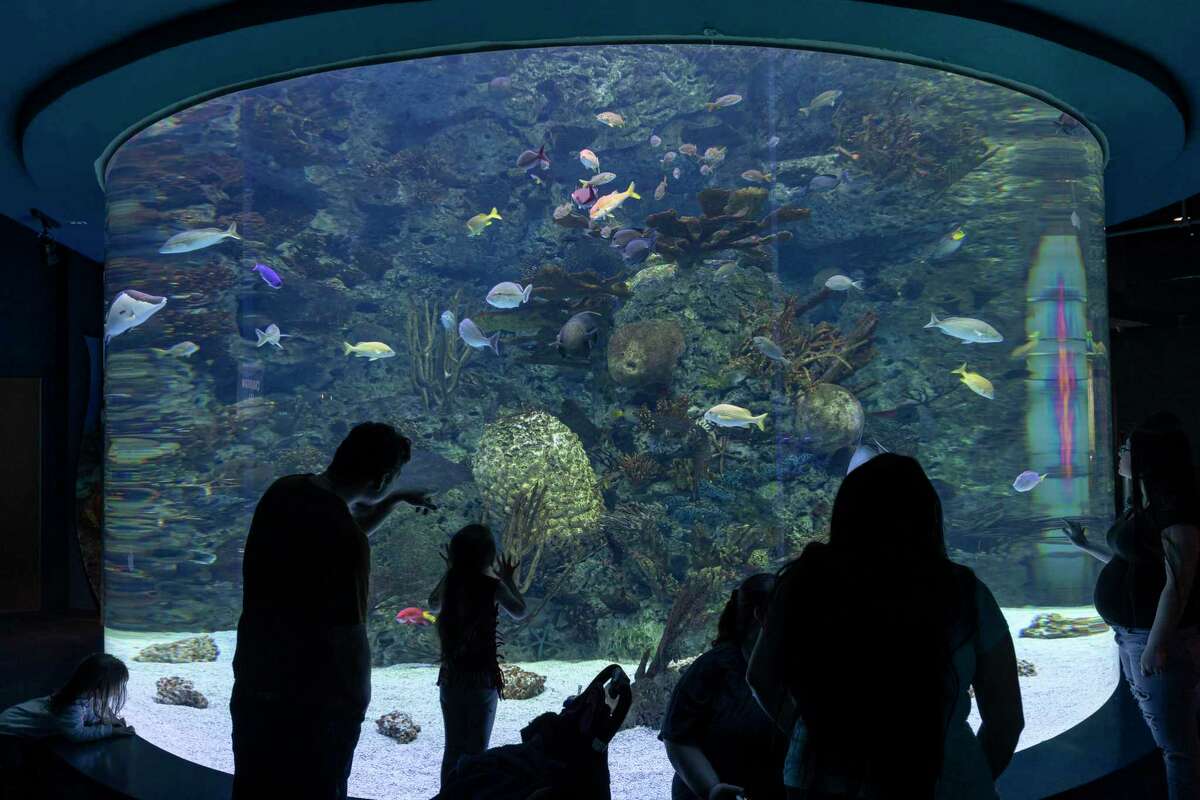 Aquarium’s rescue center lets public watch wildlife being saved