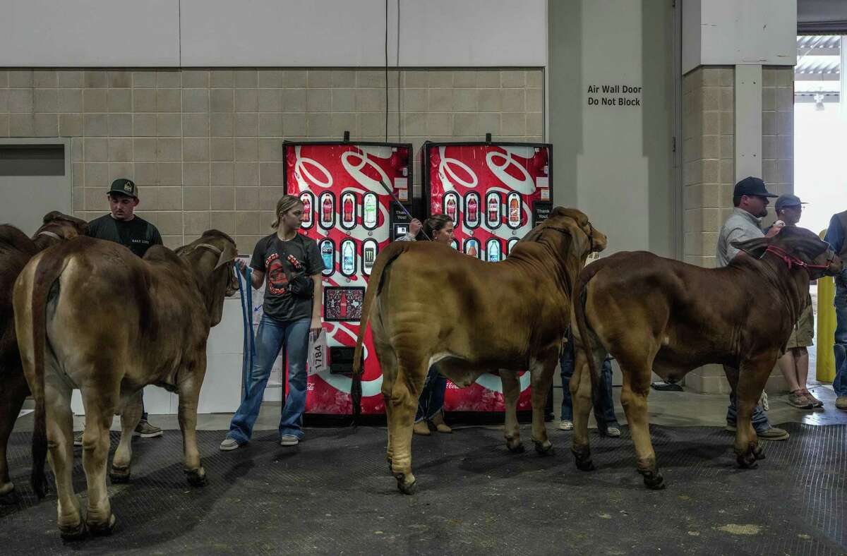 The first day of Houston rodeo was full of families, food, and fun