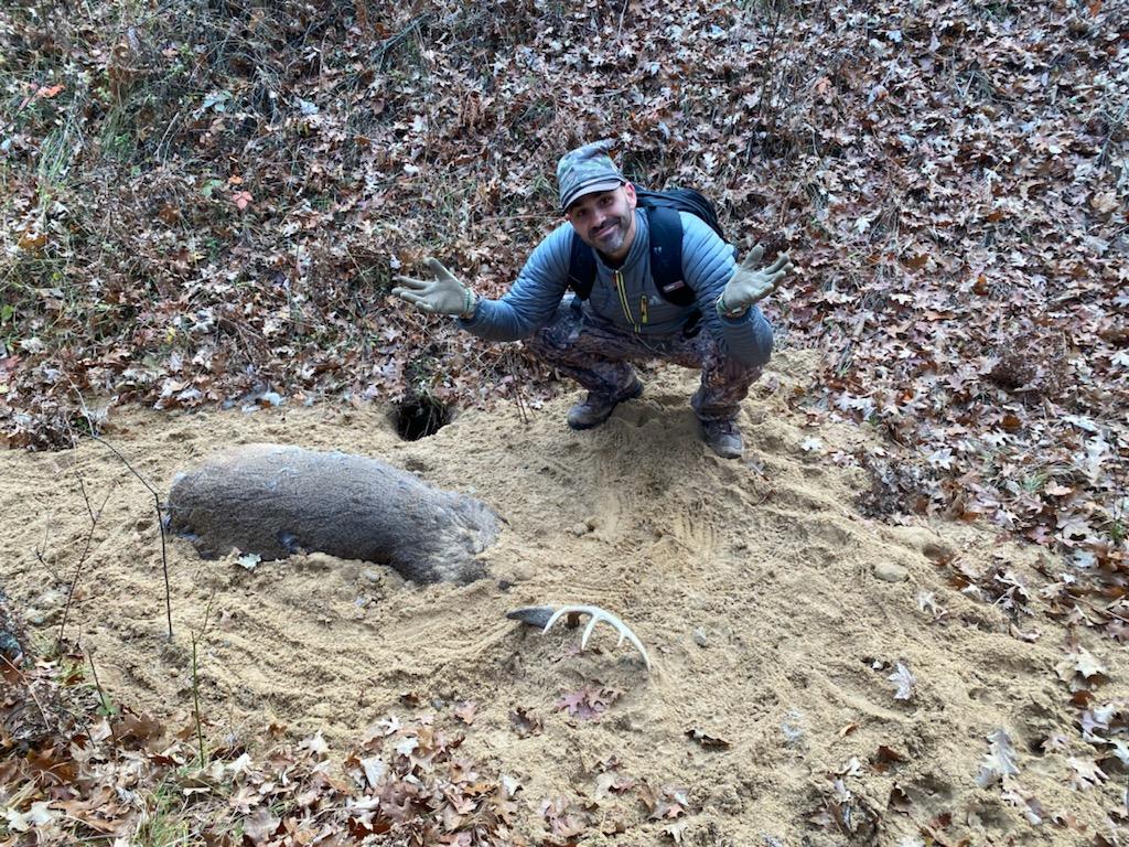 Michigan hunter shoots 9-point, finds it hidden, buried by badger