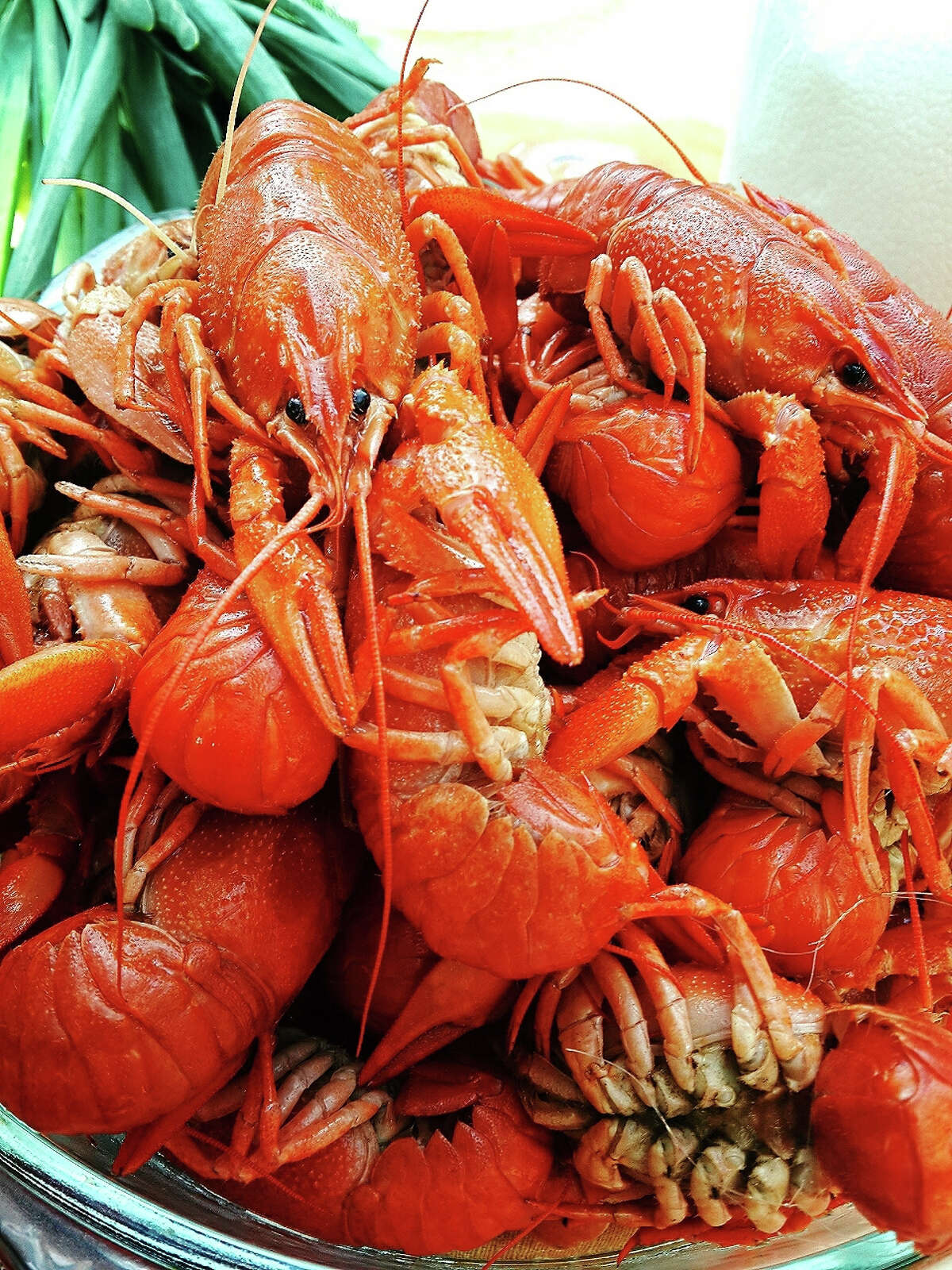 Chefs Jason Dady and Sarah Penrod dish on crawfish season in S.A.
