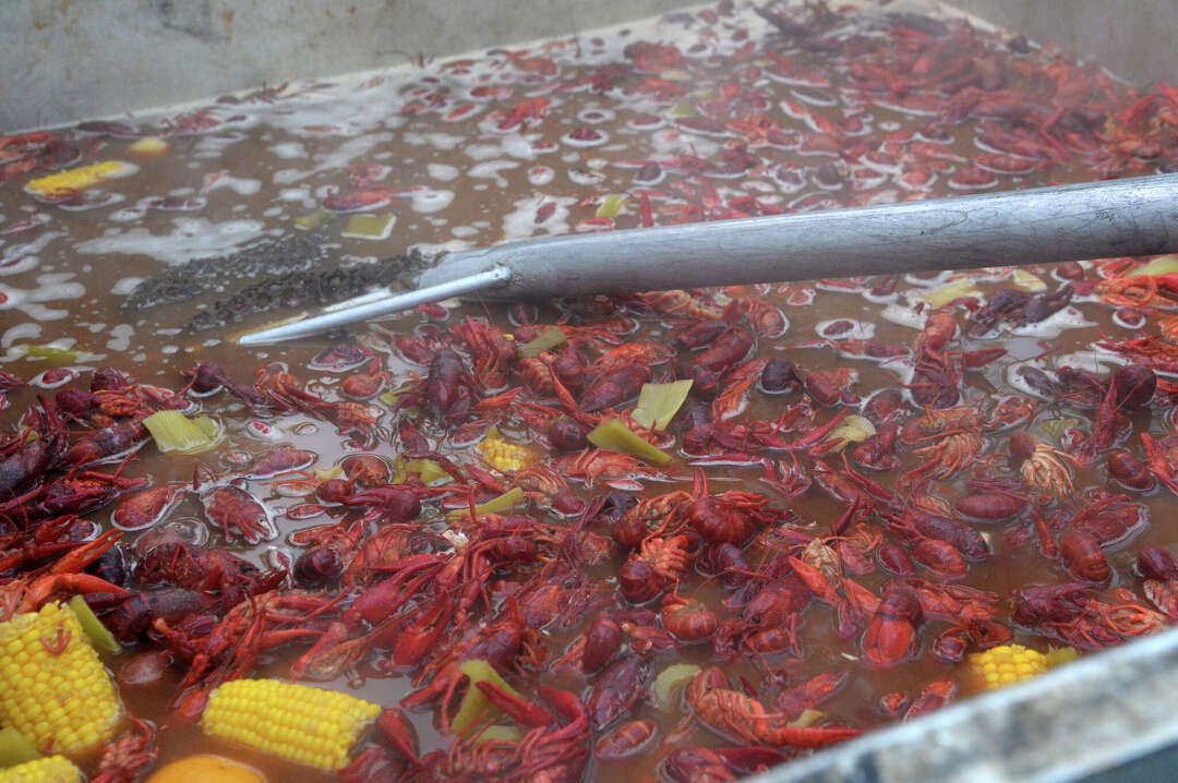 Chefs Jason Dady and Sarah Penrod dish on crawfish season in S.A.