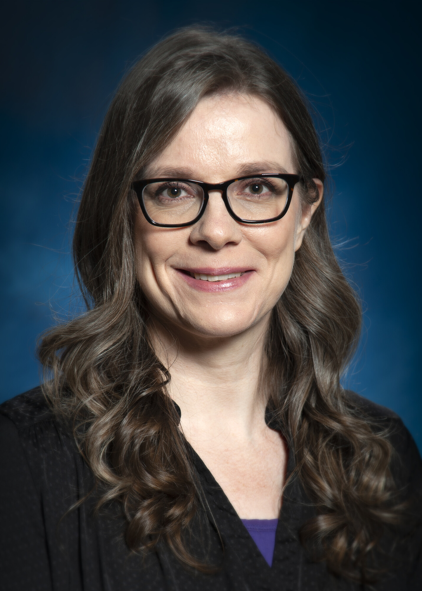 SVSU faculty receive prestigious grant to host summer institute