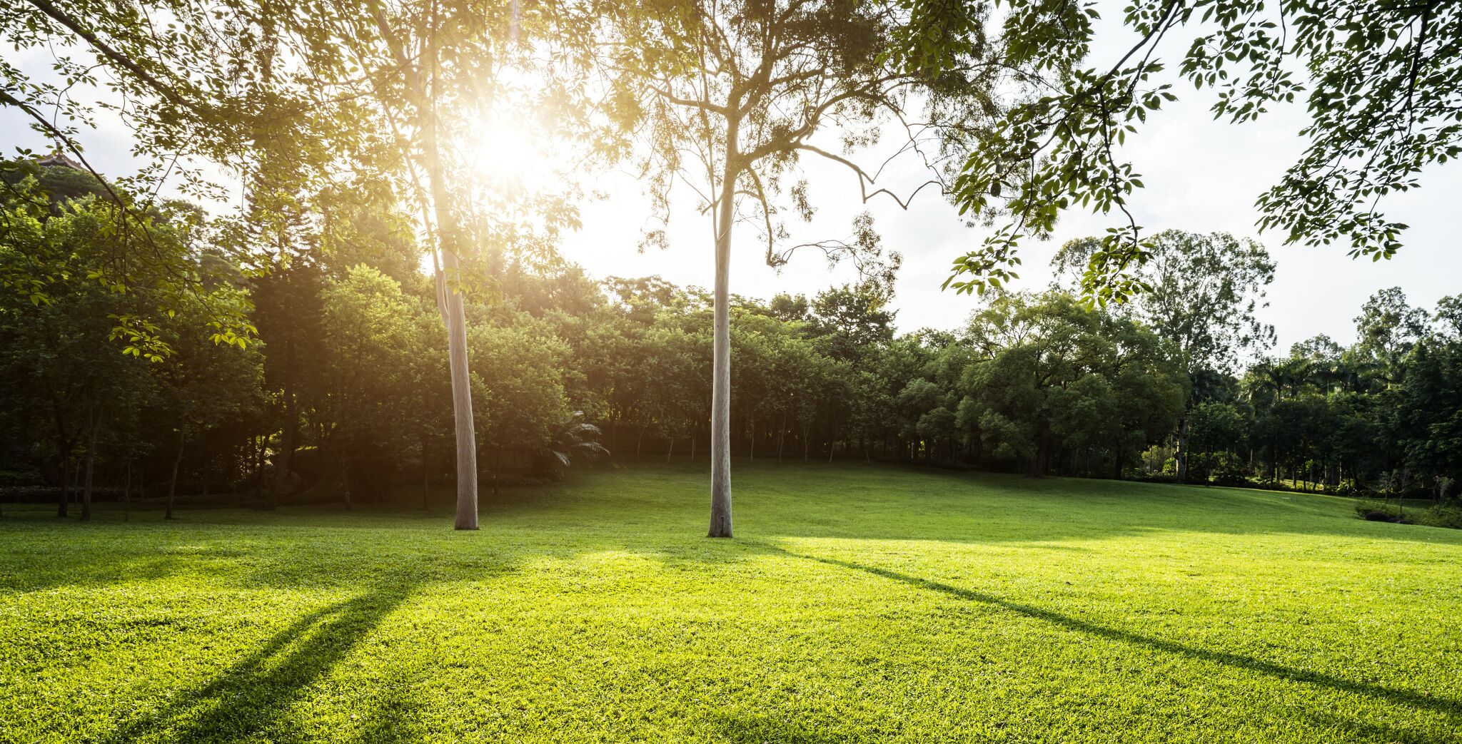 Nearly $60 herading to 118 park and recreation projects in state