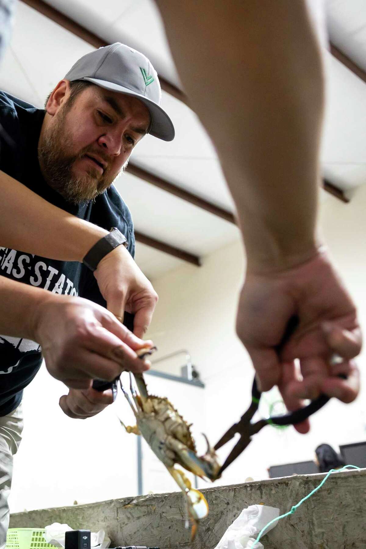 Northwest Houston pool lets you fish for shrimp, crab and then eat it