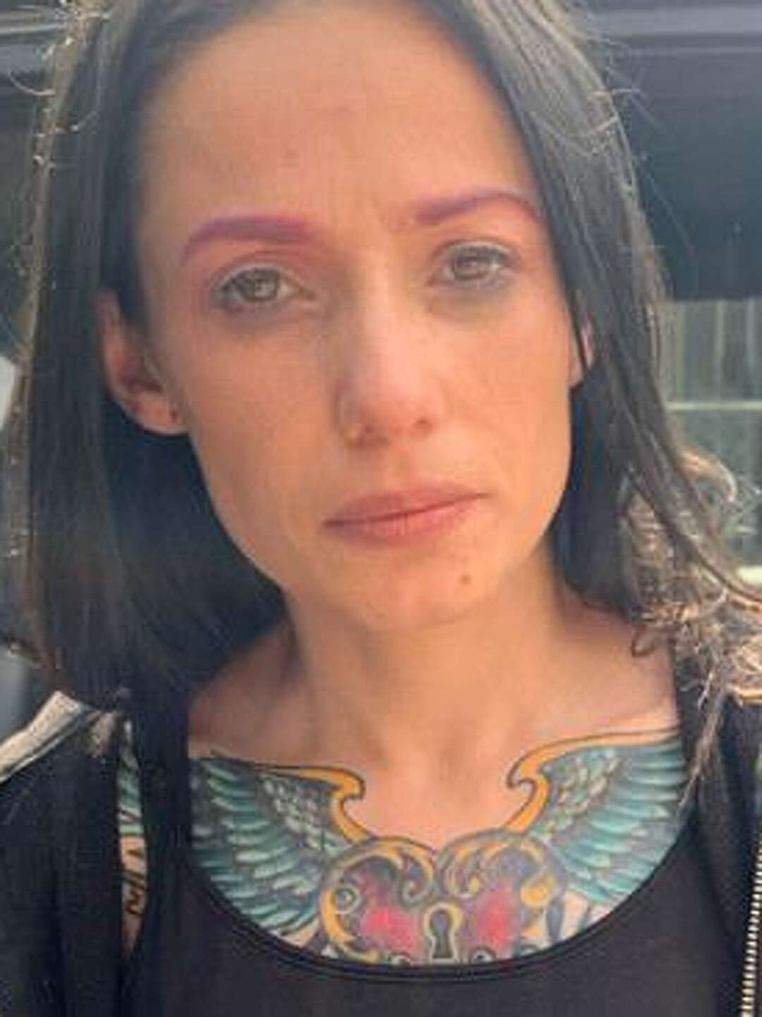 Owners of killer S.A. pit bulls trained them to be ‘aggressive’