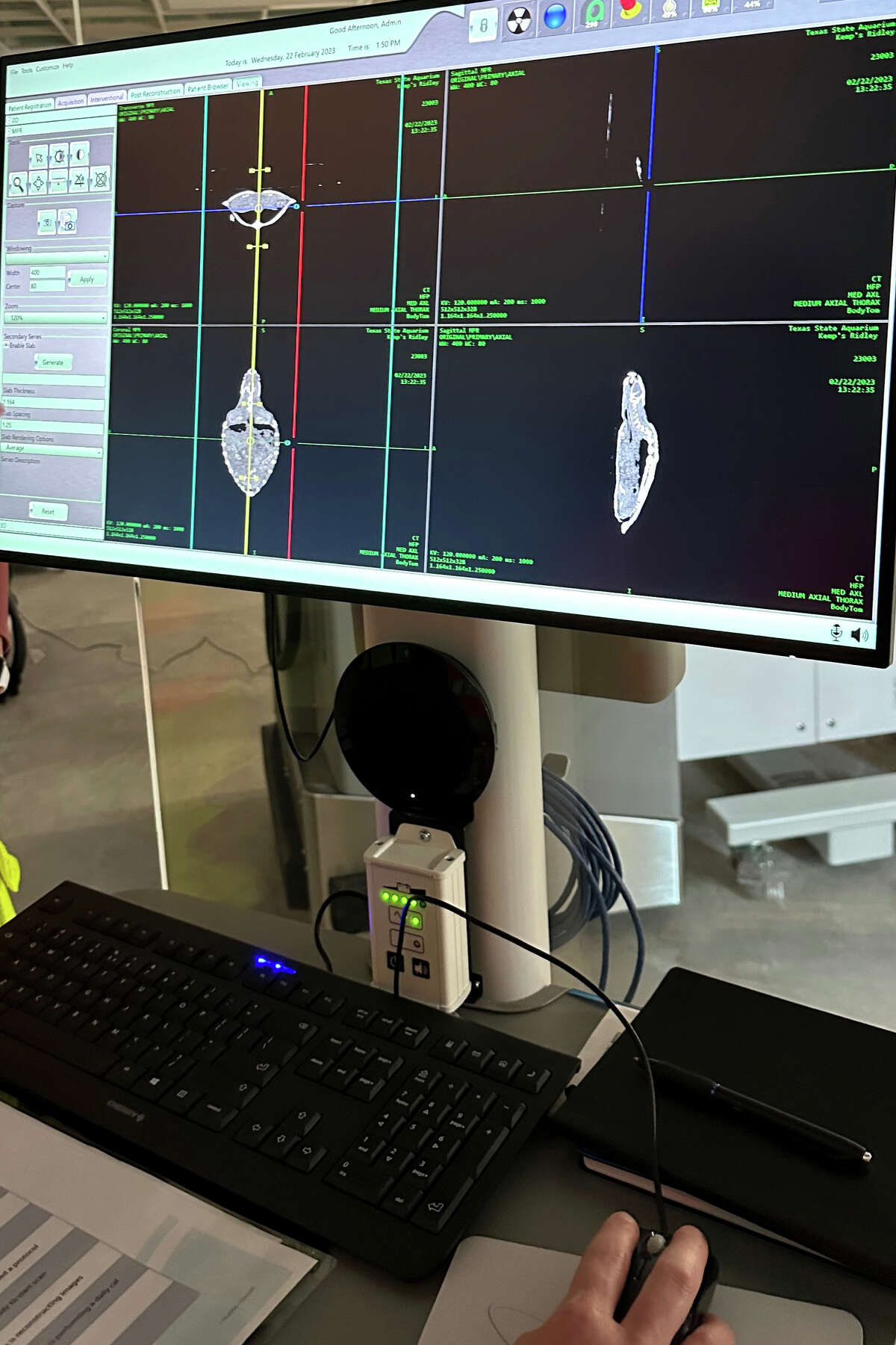 Texas' largest coastal wildlife rescue center is now open