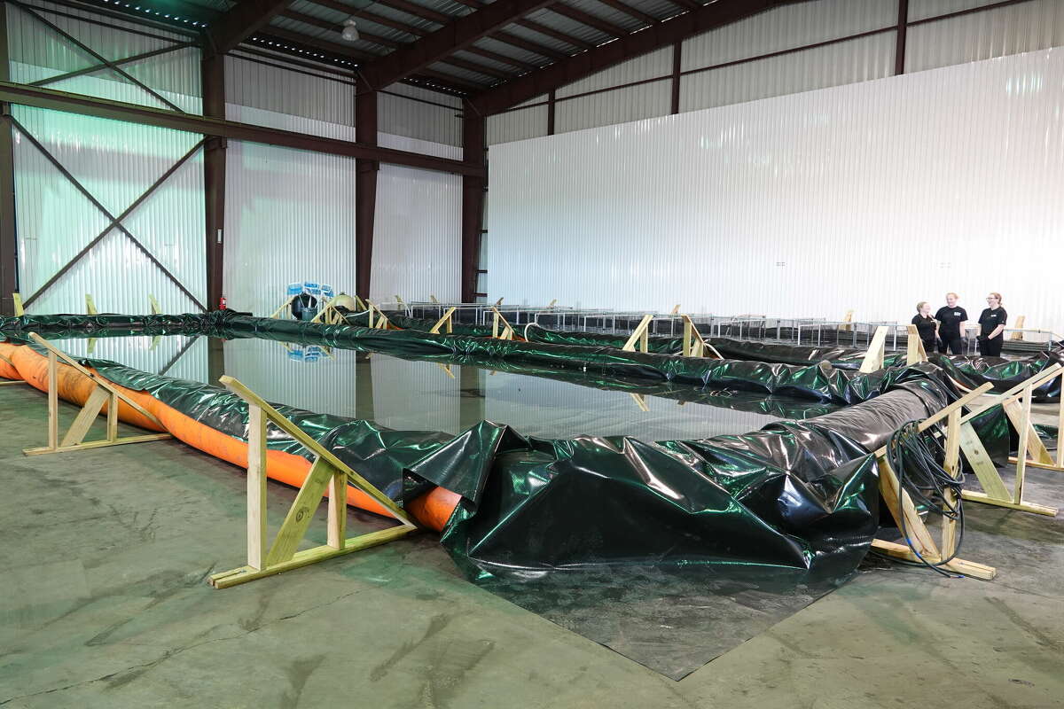 Texas' largest coastal wildlife rescue center is now open