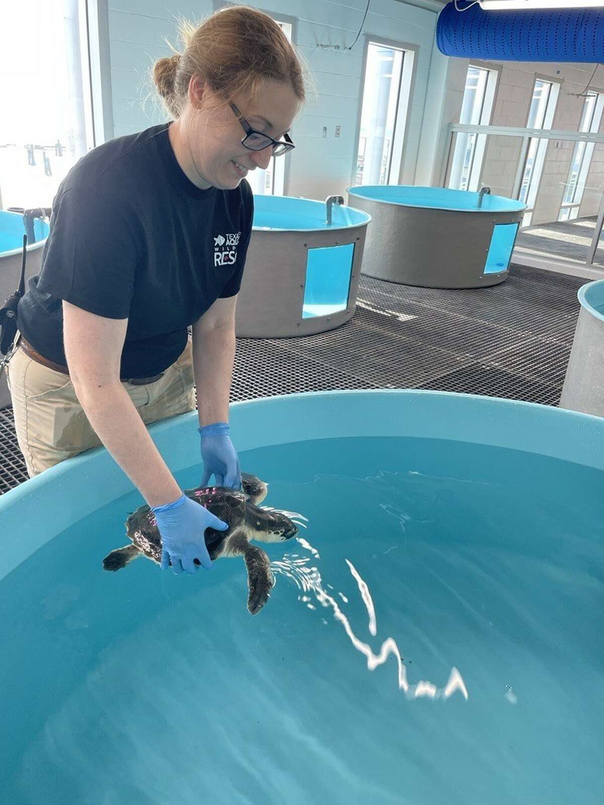 Texas' largest coastal wildlife rescue center is now open