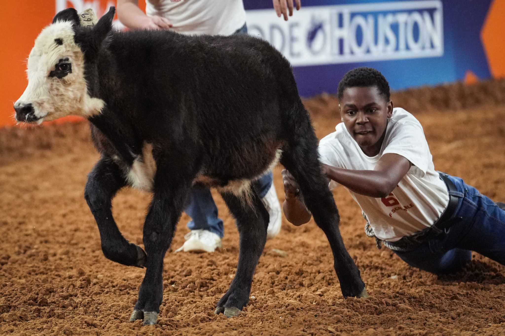 2024 Houston Rodeo: What to know about the calf scramble program