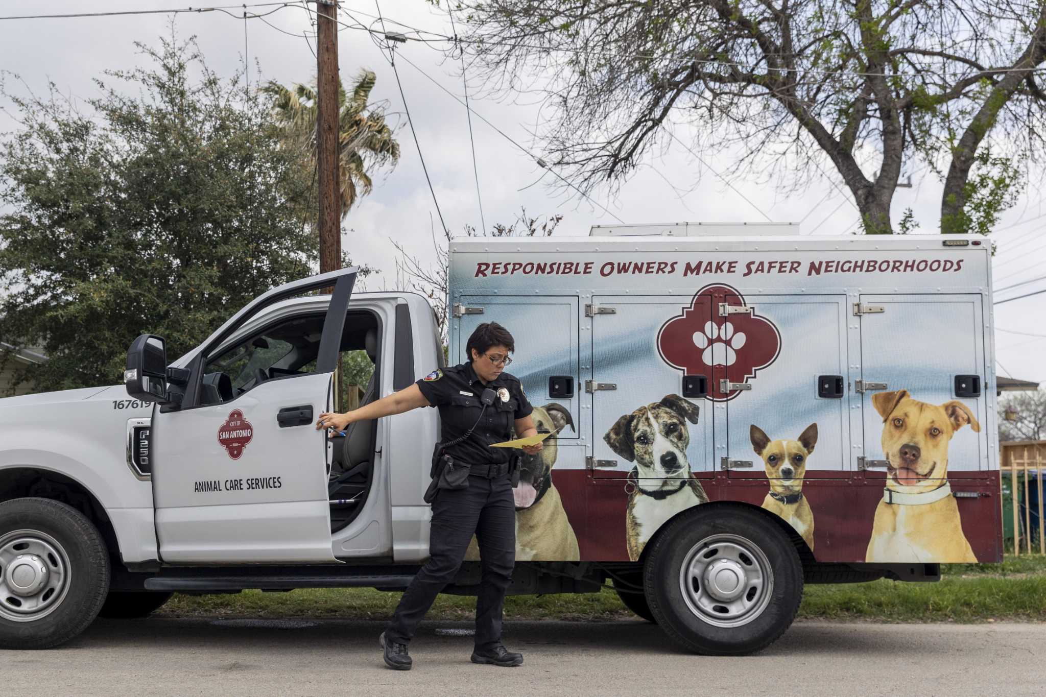 Letters, March 17: Dogs kill innocent man