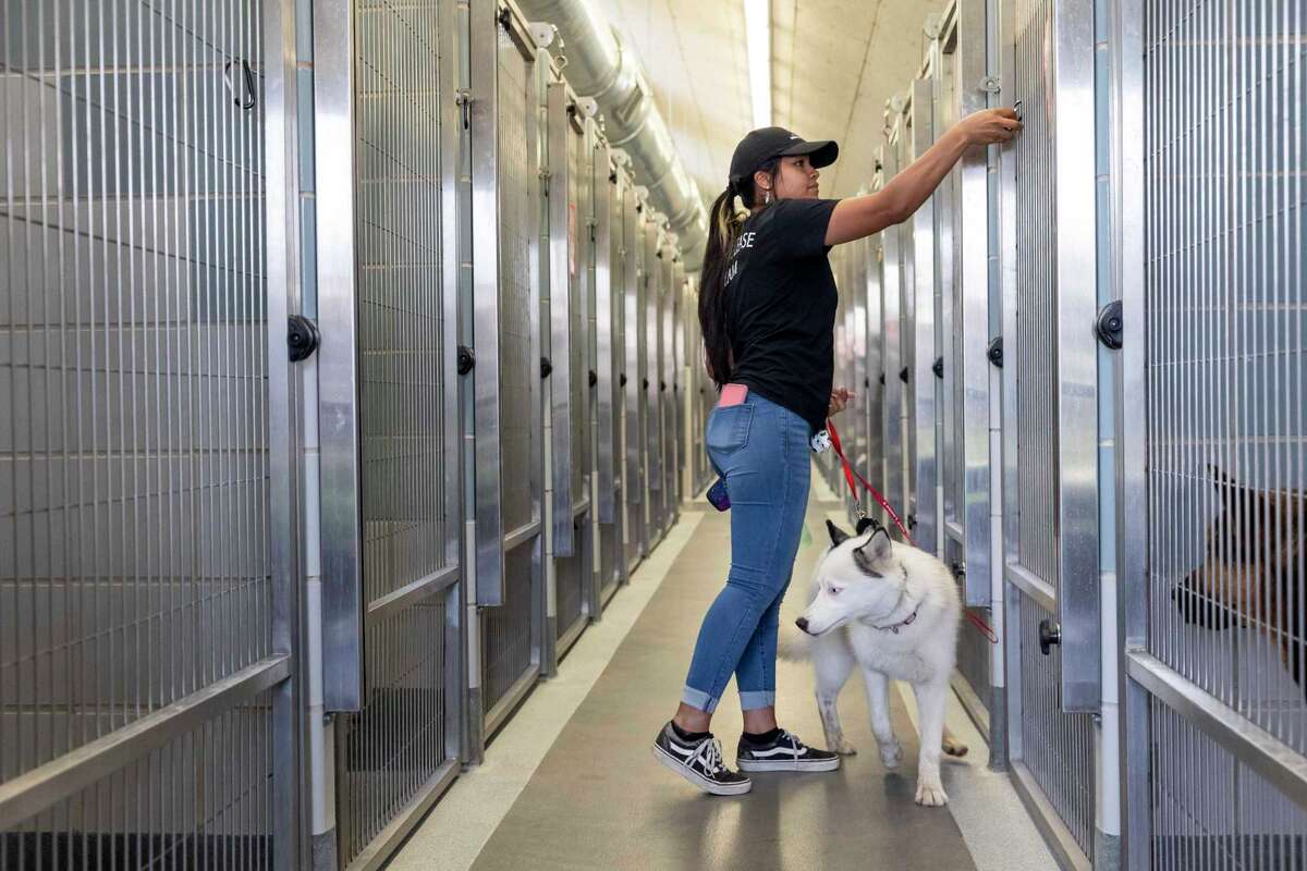 Christian Moreno, Abilene Schnieder were nightmares, neighbors say