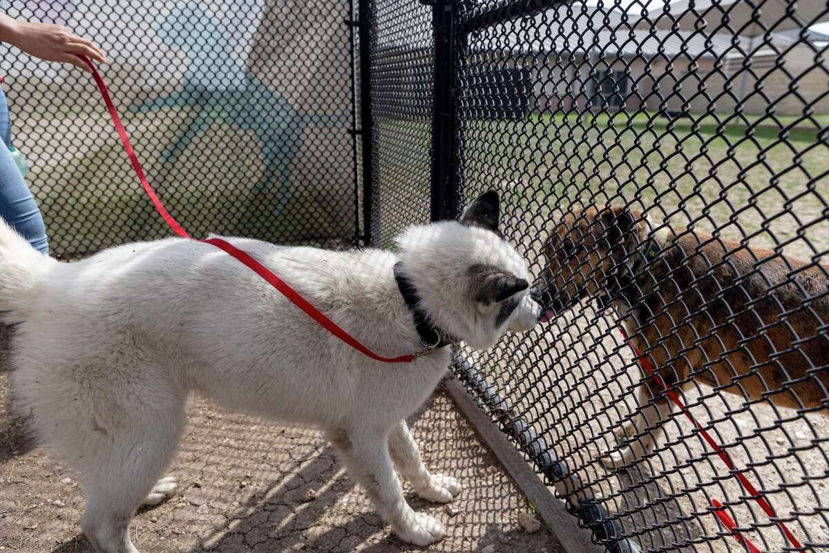 Christian Moreno, Abilene Schnieder were nightmares, neighbors say