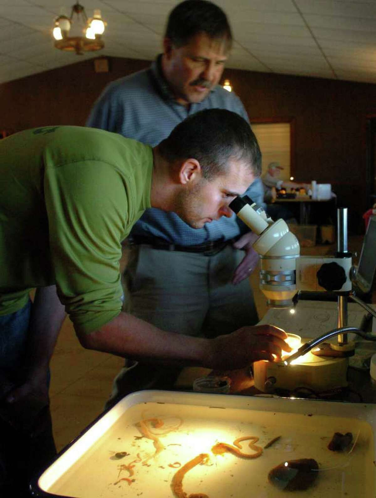 Scientists race the clock to count wildlife in Stratford