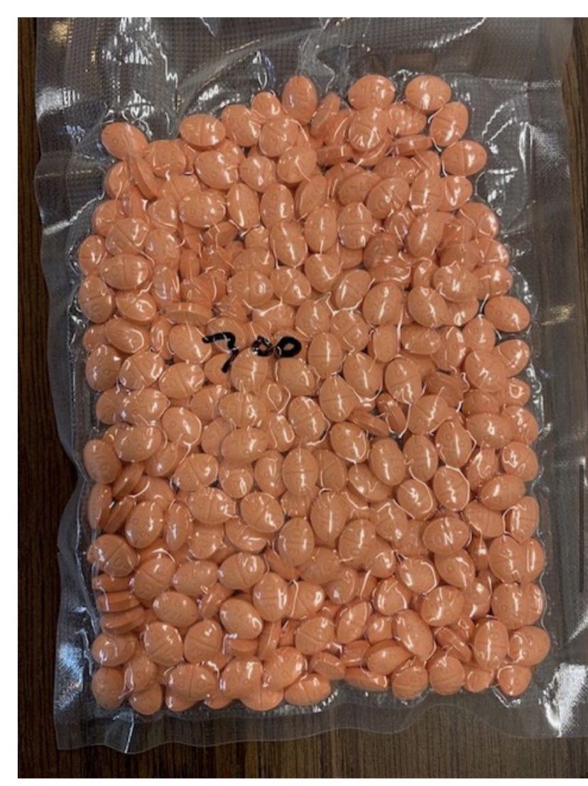 Traverse man charged after 335 meth pills intercepted