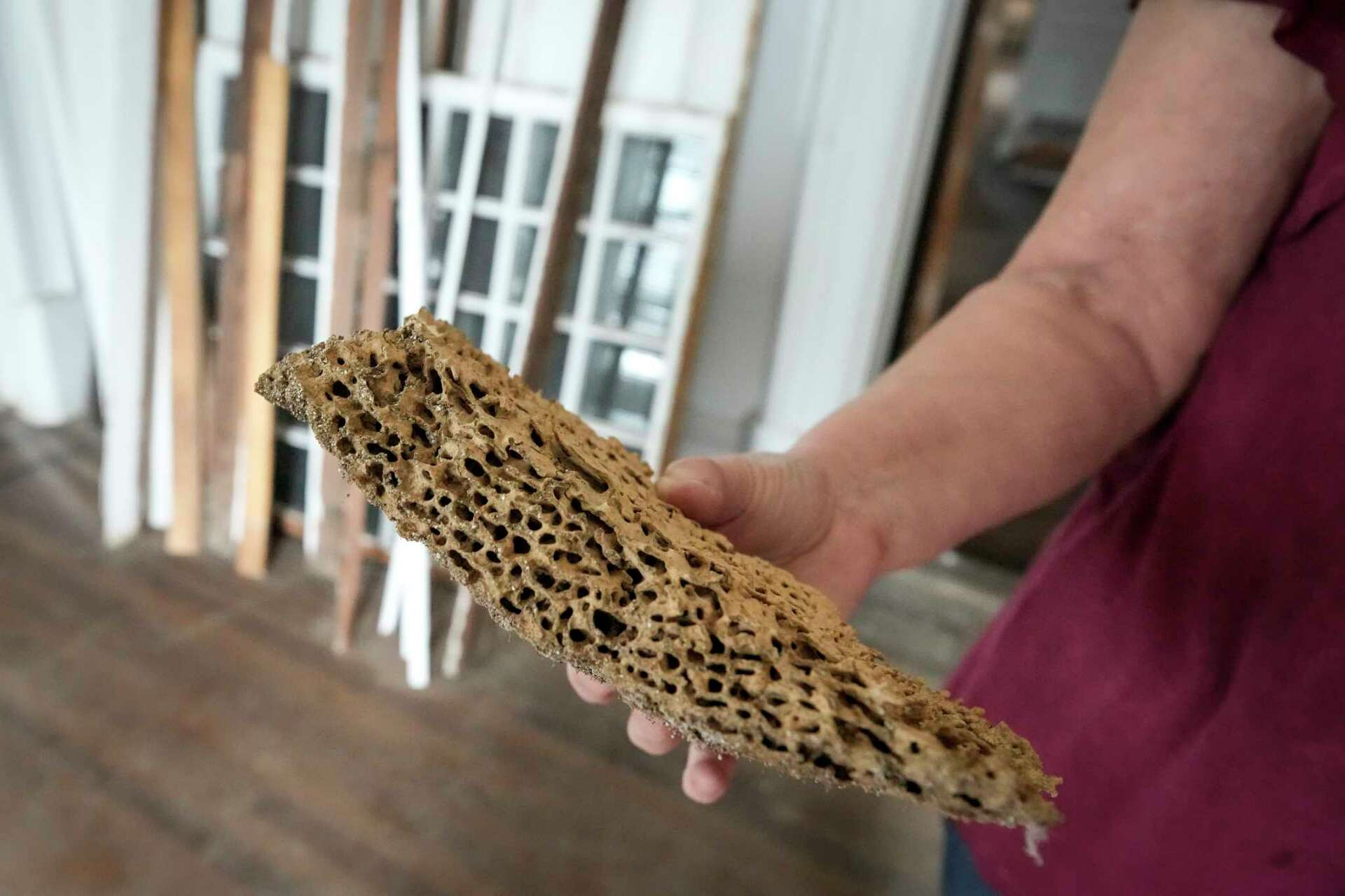 How do I know if I have termites? What they look like and treatment