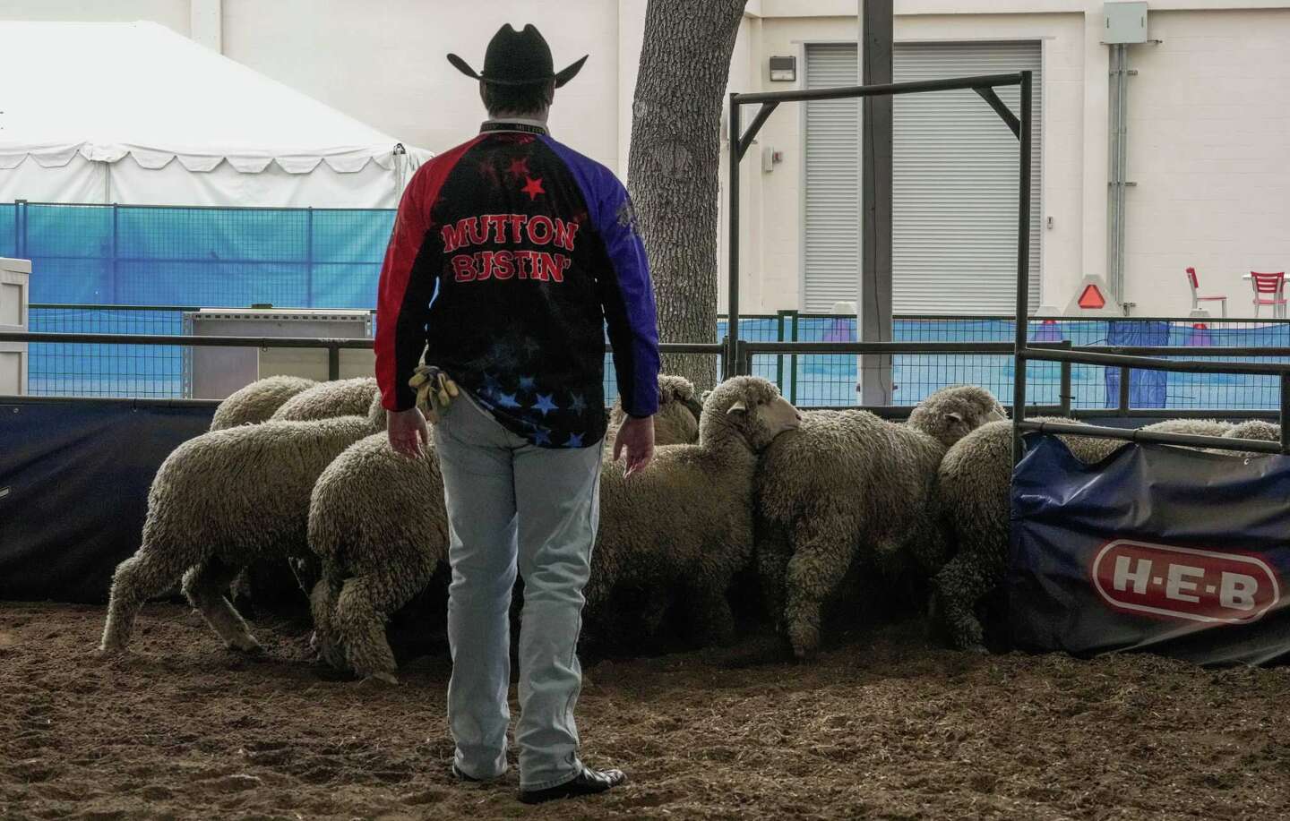 What is Mutton Bustin'? And how can kids get involved?