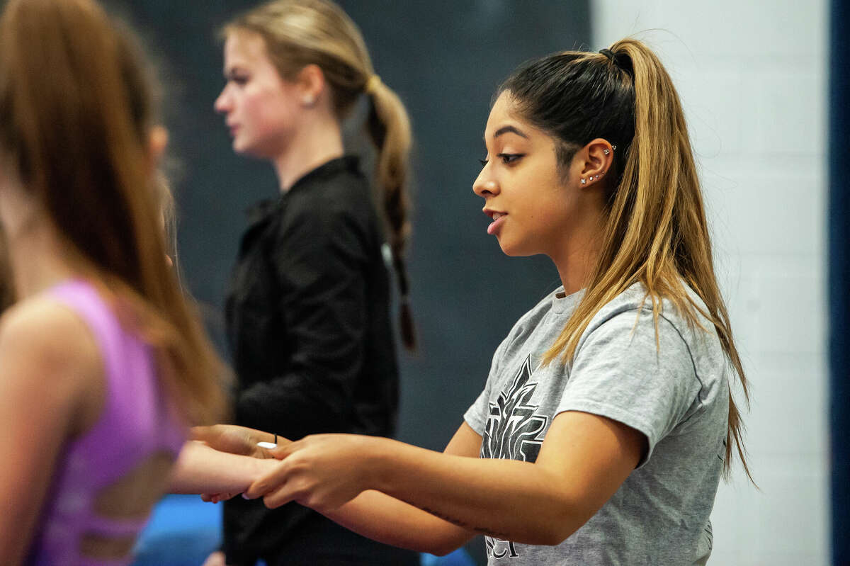 Freeland High School alumna to model in Hollywood fashion show