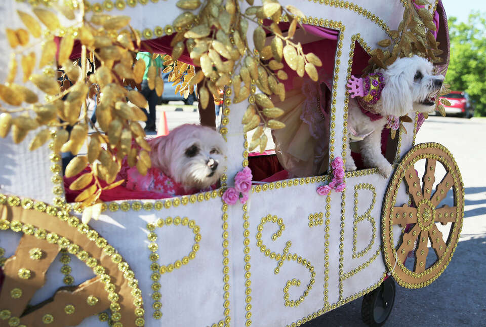 Fiesta FAQ for San Antonio newcomers: Crowds, parking, parades