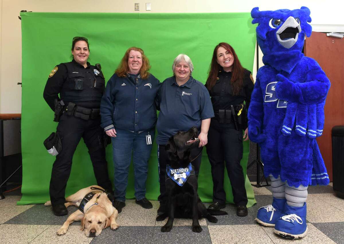 SCSU throws service dog Jules a self-care party for his 3rd birthday