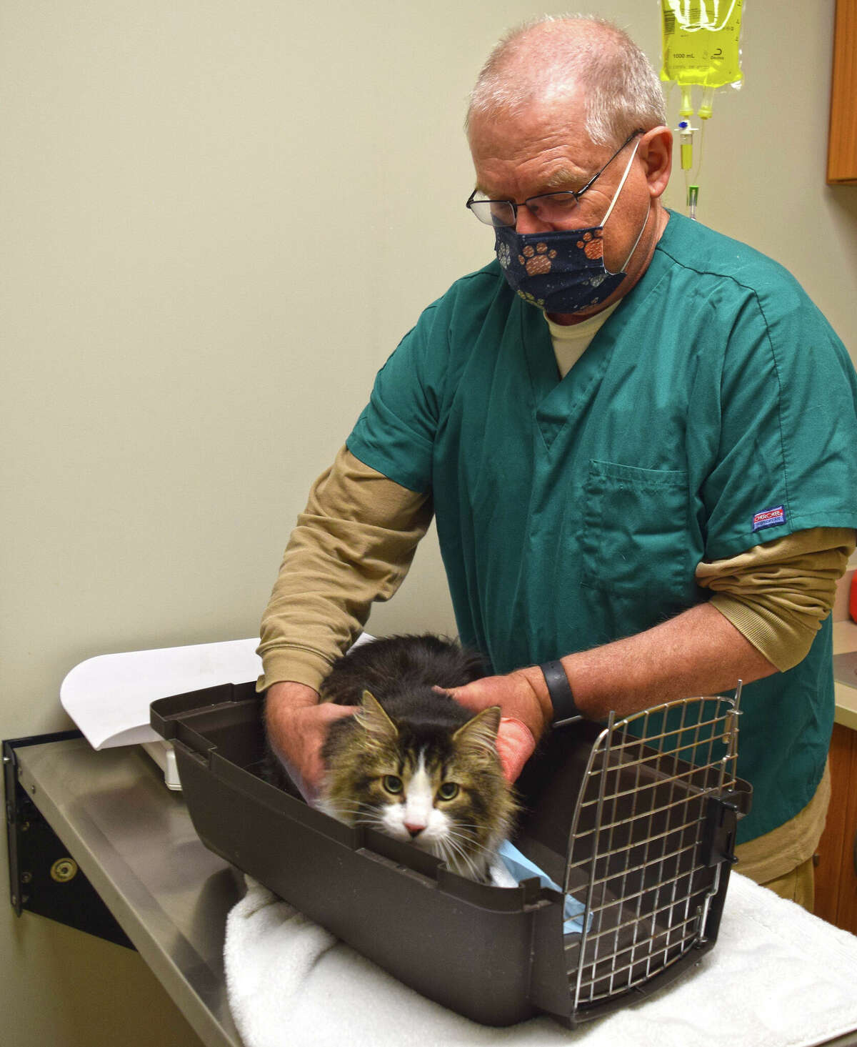 Rural areas find veterinarians for large animals at a premium