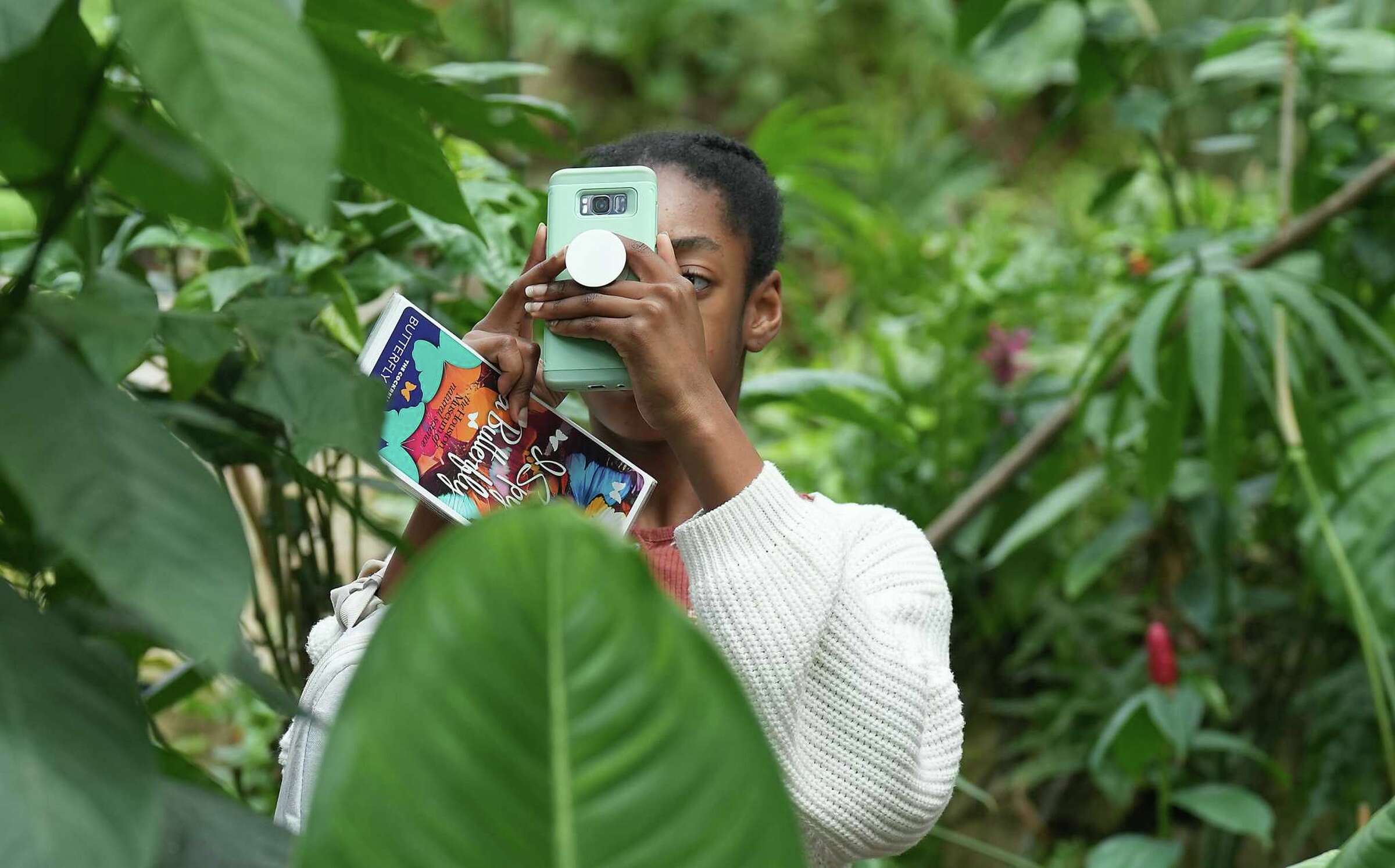 Houston's Cockrell Butterfly Center adds birds to its sanctuary