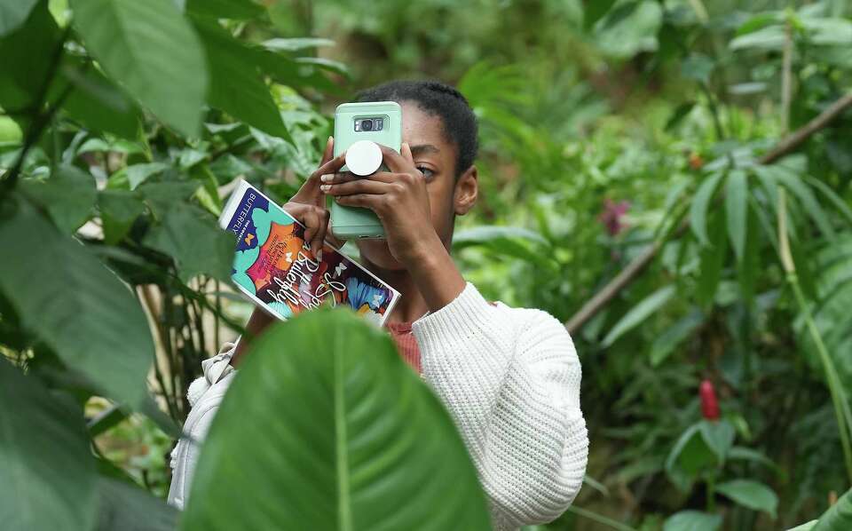 Houston's Cockrell Butterfly Center adds birds to its sanctuary