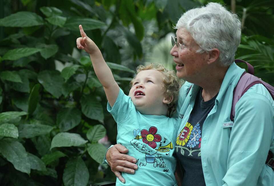 Houston's Cockrell Butterfly Center adds birds to its sanctuary