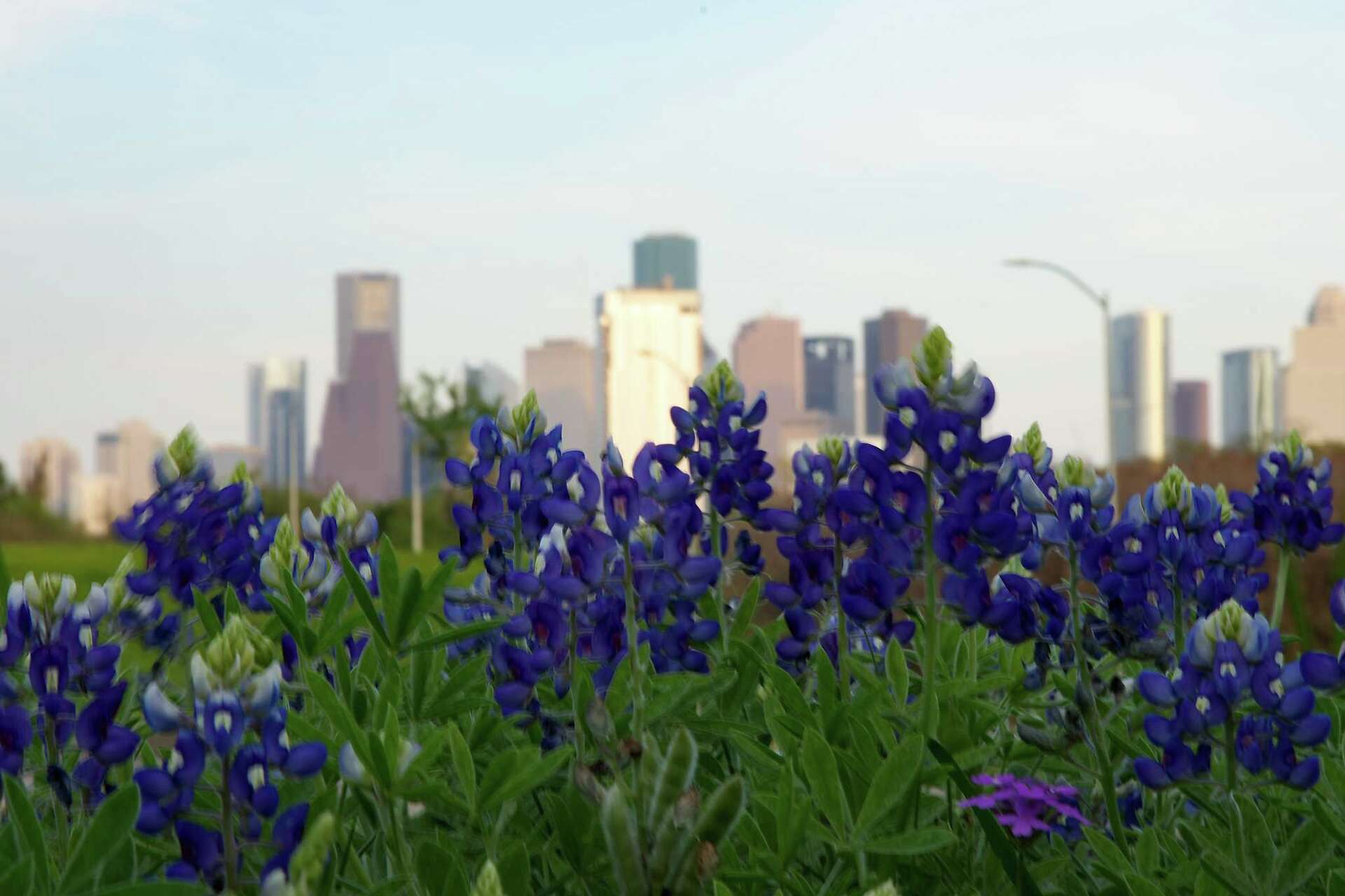 Chronicle 100 methodology for Houston company rankings