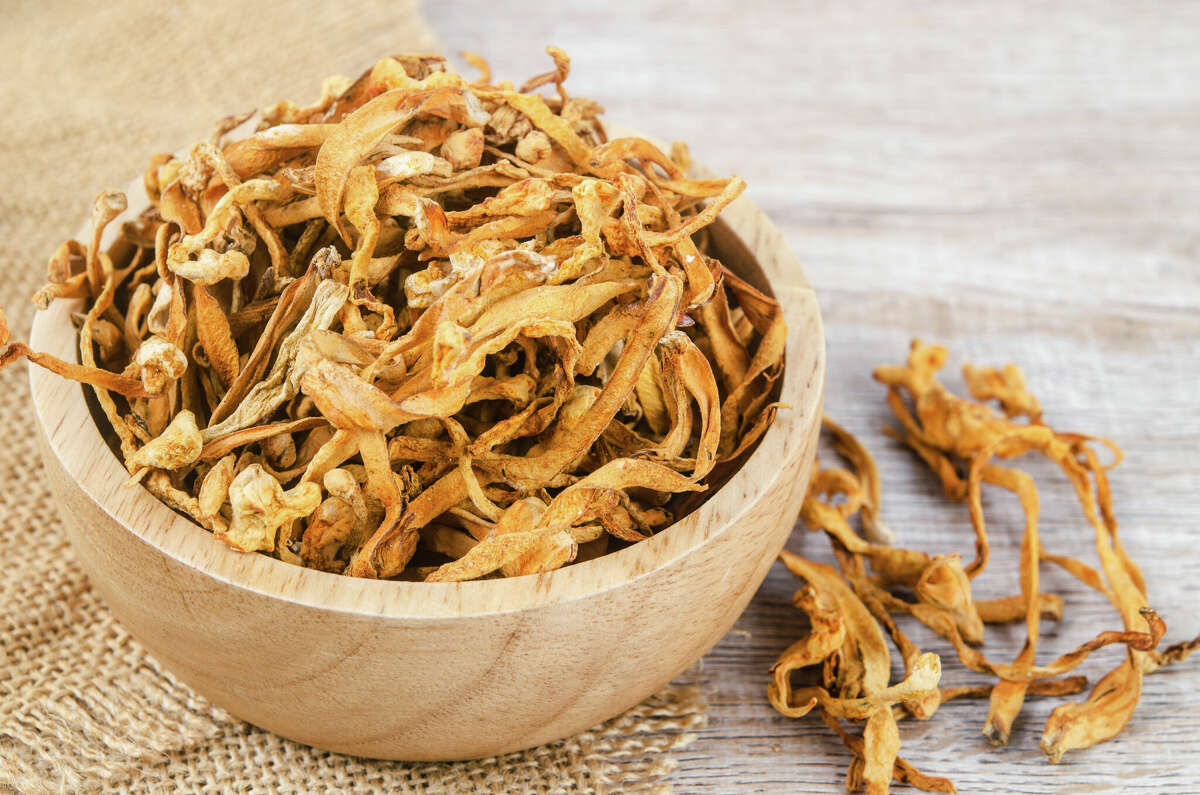 'The Last of Us' mushroom cordyceps is edible. Where to find it.