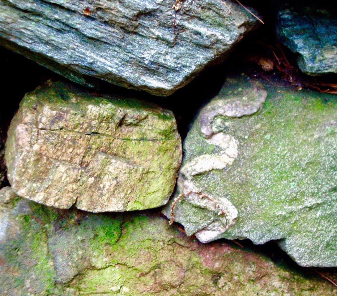 Darien news: patriot grave marking, a new events planner